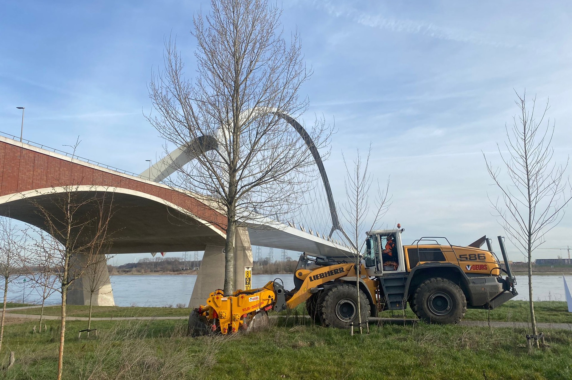 Magnifique jeu de lignes avec une transplanteuse d'arbres Damcon ...